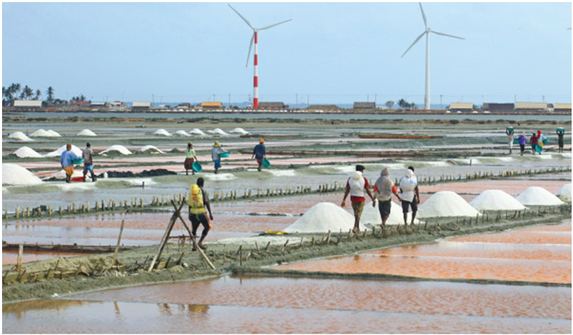 Local salt production: To be improved in next 5 years - The Morning ...