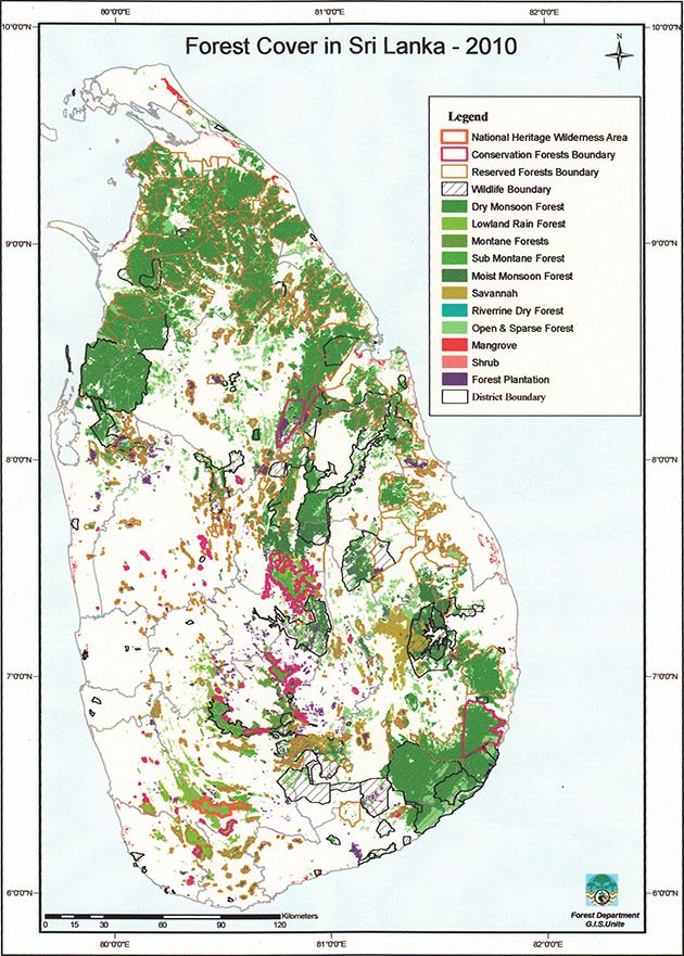 Country's forest cover: When green turns to red - The Morning - Sri ...