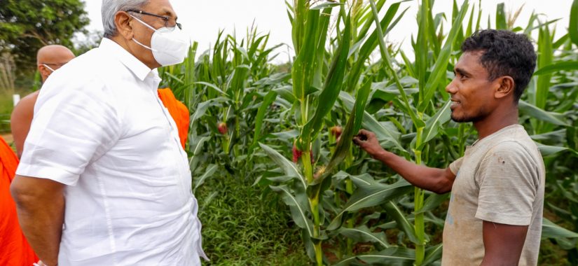 The political reality of unpaid utility - The Morning - Sri Lanka News