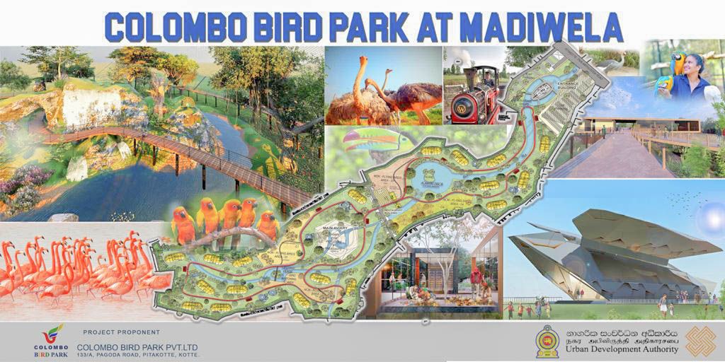 Beautifying Colombo: Colombo Bird Park in the making - The Morning ...