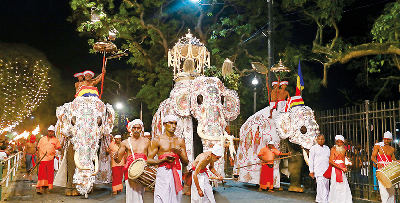 A look at the unique Kandy Esala Perahera - The Morning - Sri Lanka News
