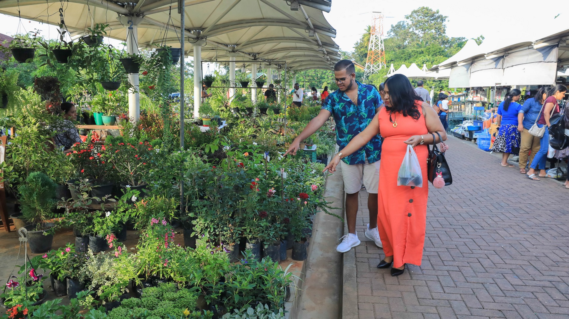 Diyatha Uyana and Nawala Wetland Park: Leisure parks to be developed ...