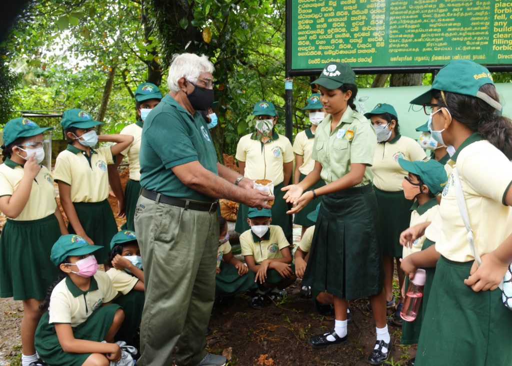 Crudia zeylanica brought back from extinction to mark National Tree ...