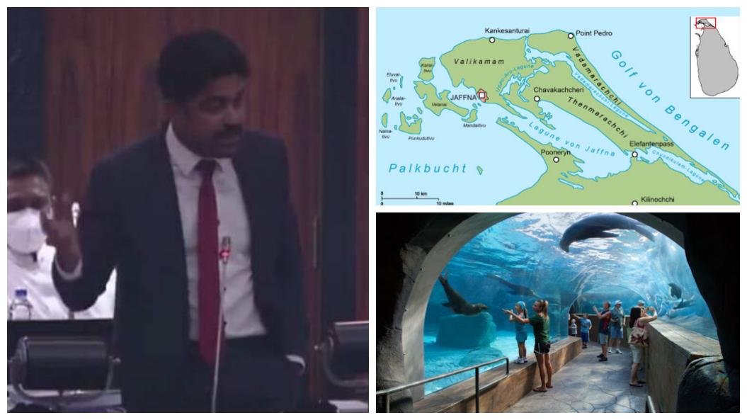 SLPP MP suggests building a zoo on a man-made island in the North - The ...