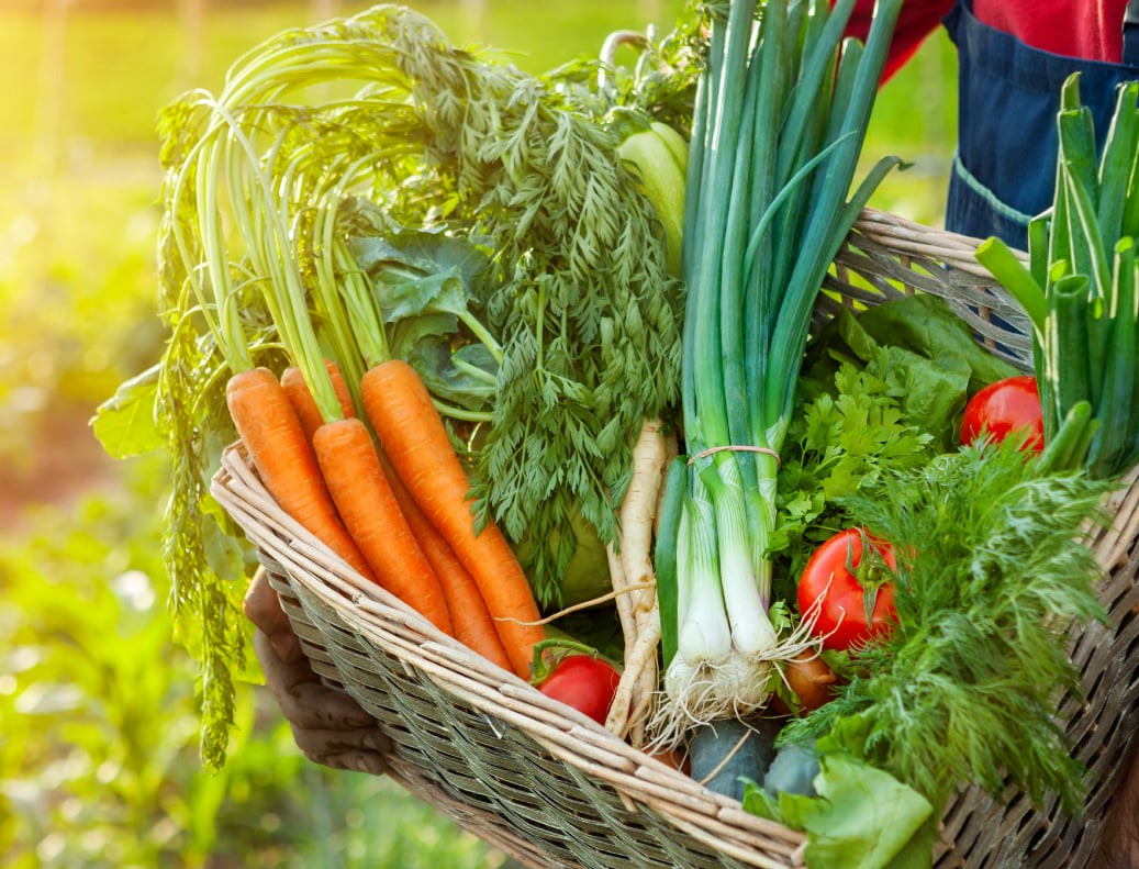 Lassana Flora talks growth and going global in 2022 - The Morning - Sri ...