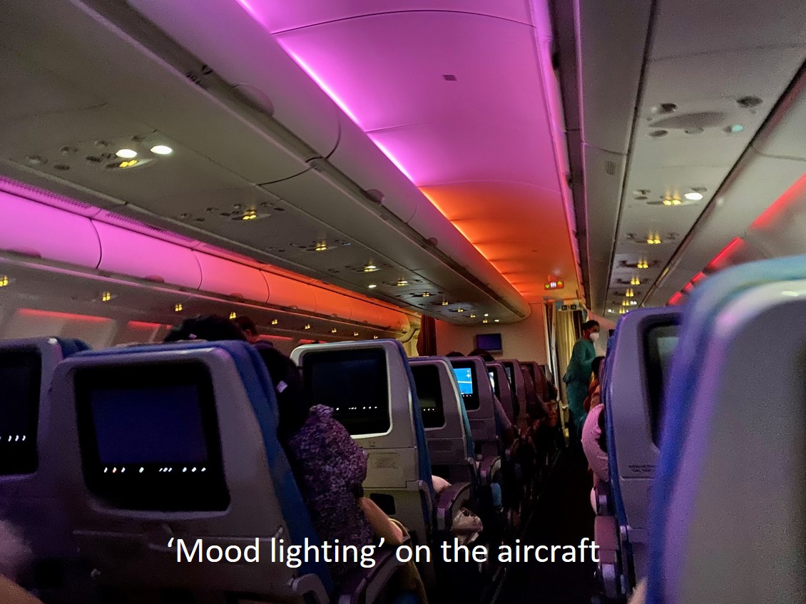 Airline travel under the ‘new normal’ - The Morning - Sri Lanka News
