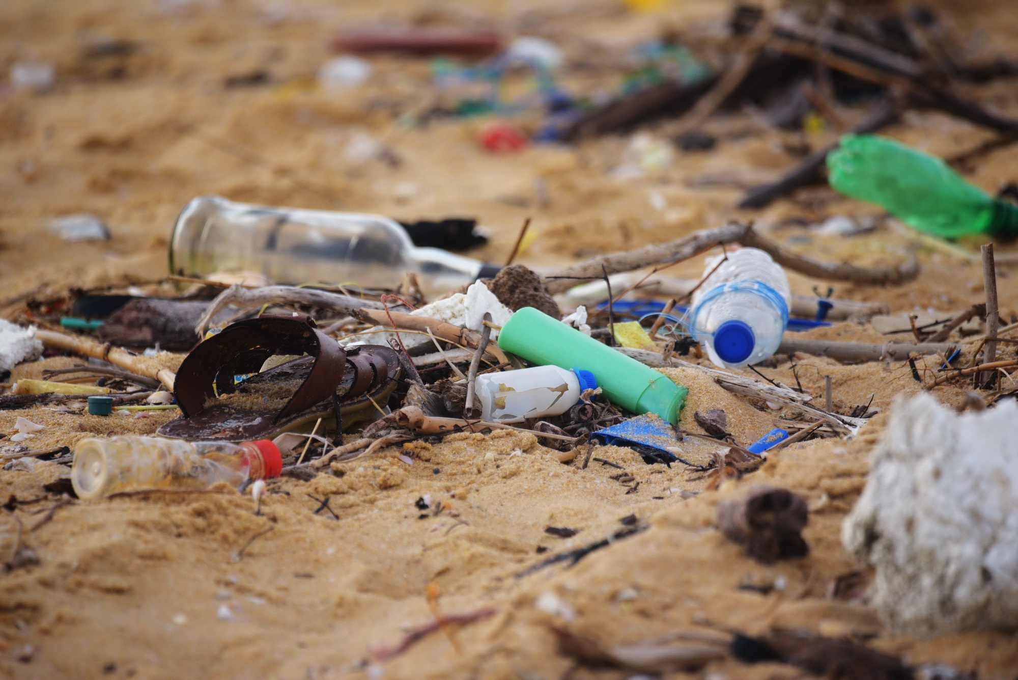 Beach cleaning: Does it reduce ocean pollution? - The Morning - Sri ...