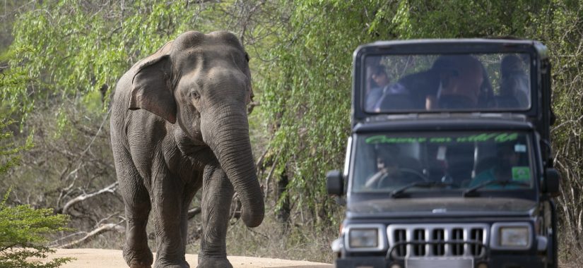 JVP condemns attack on journalist's home - The Morning - Sri Lanka News