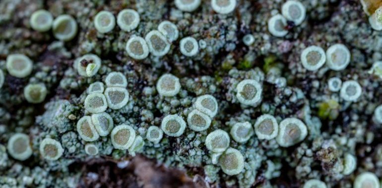 Colombo Heritage Square in the making - The Morning - Sri Lanka News