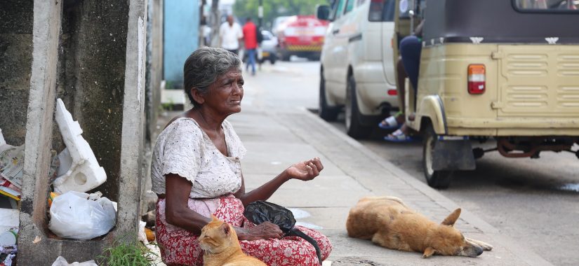 Ruwanpura Expressway: Construction begins on seventh expressway - The ...