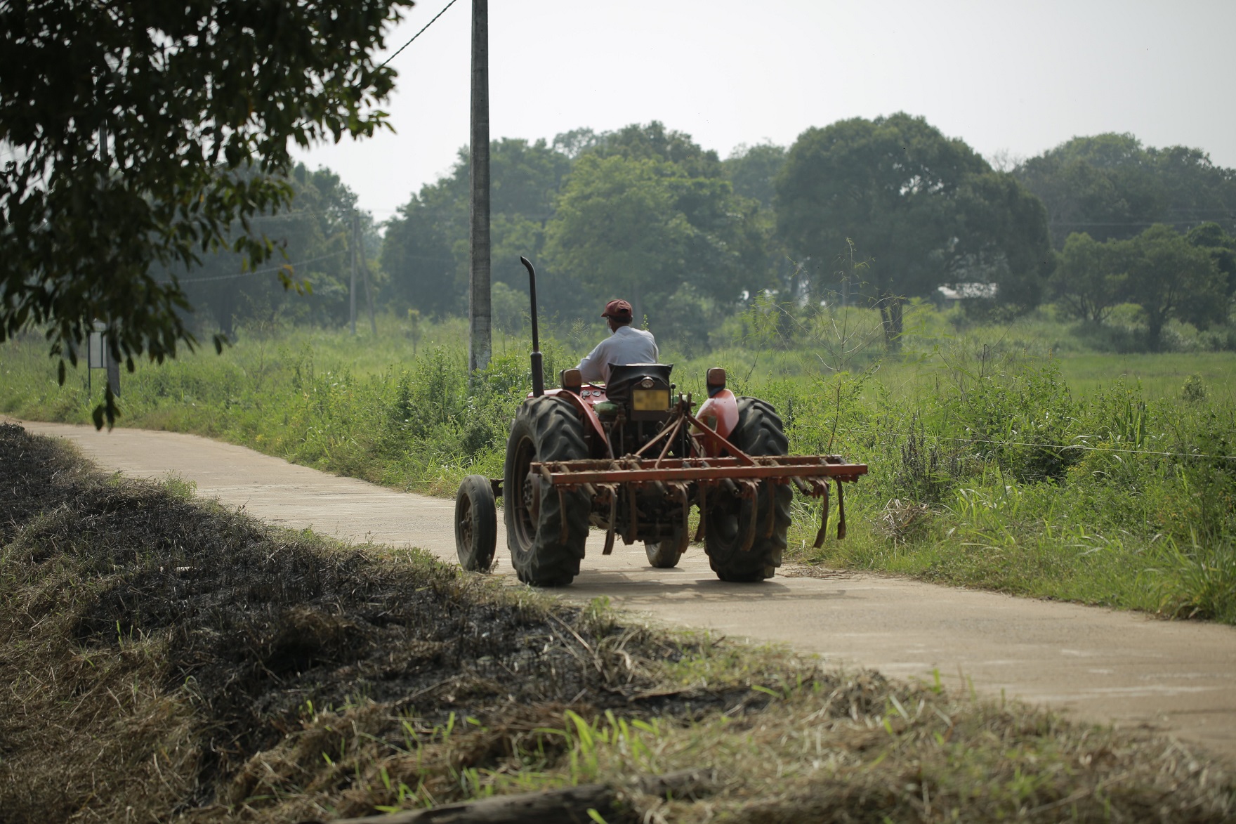 Rural entrepreneurship and resilience - The Morning - Sri Lanka News