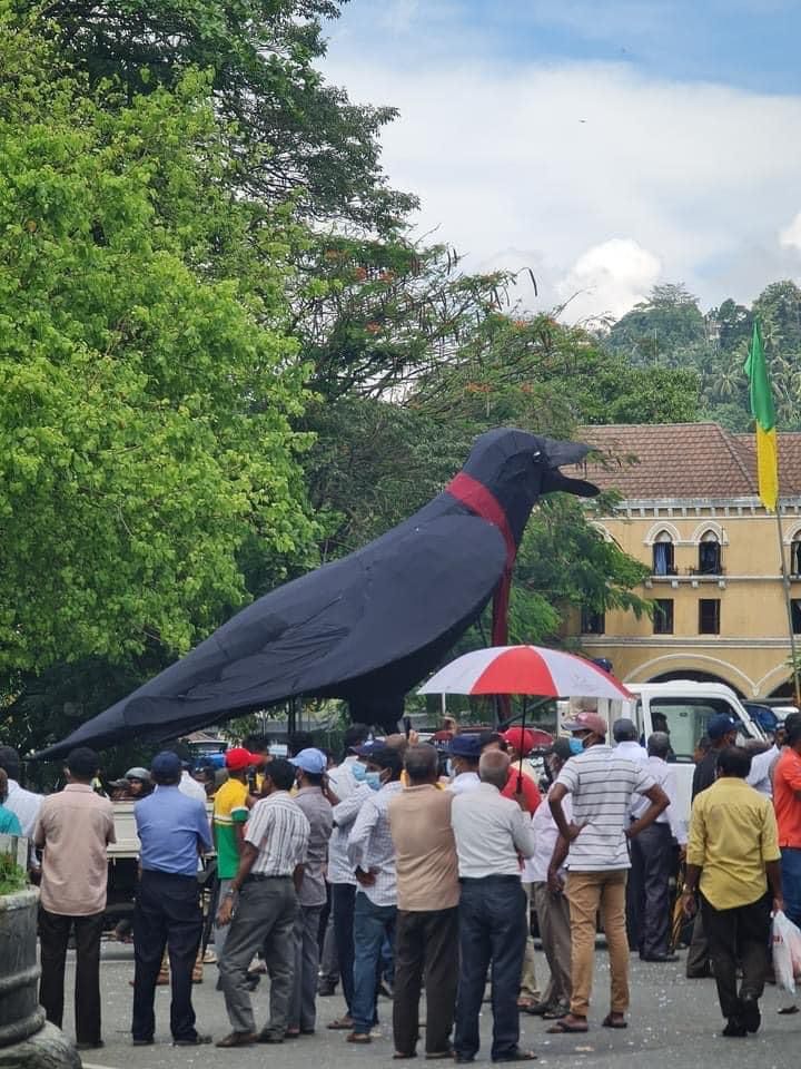 Sunny Side Up: SJB’s ‘kaputa’ to Colombo - The Morning - Sri Lanka News