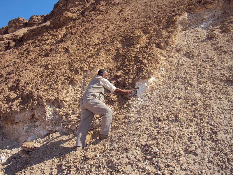 Programme to expedite production of phosphate at Eppawala - The Morning ...