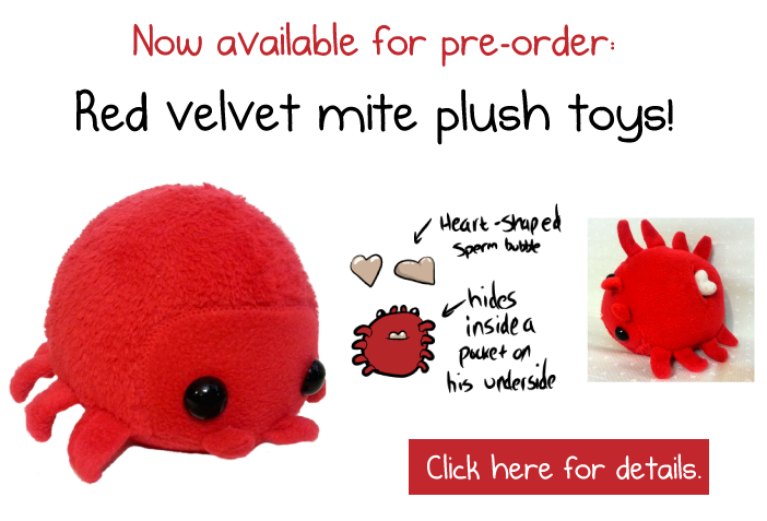 This is a red velvet mite and he is here to teach you about love - The ...