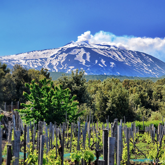 I Custodi delle Vigne dell'Etna 2012 'Ætneus' Etna Rosso DOC