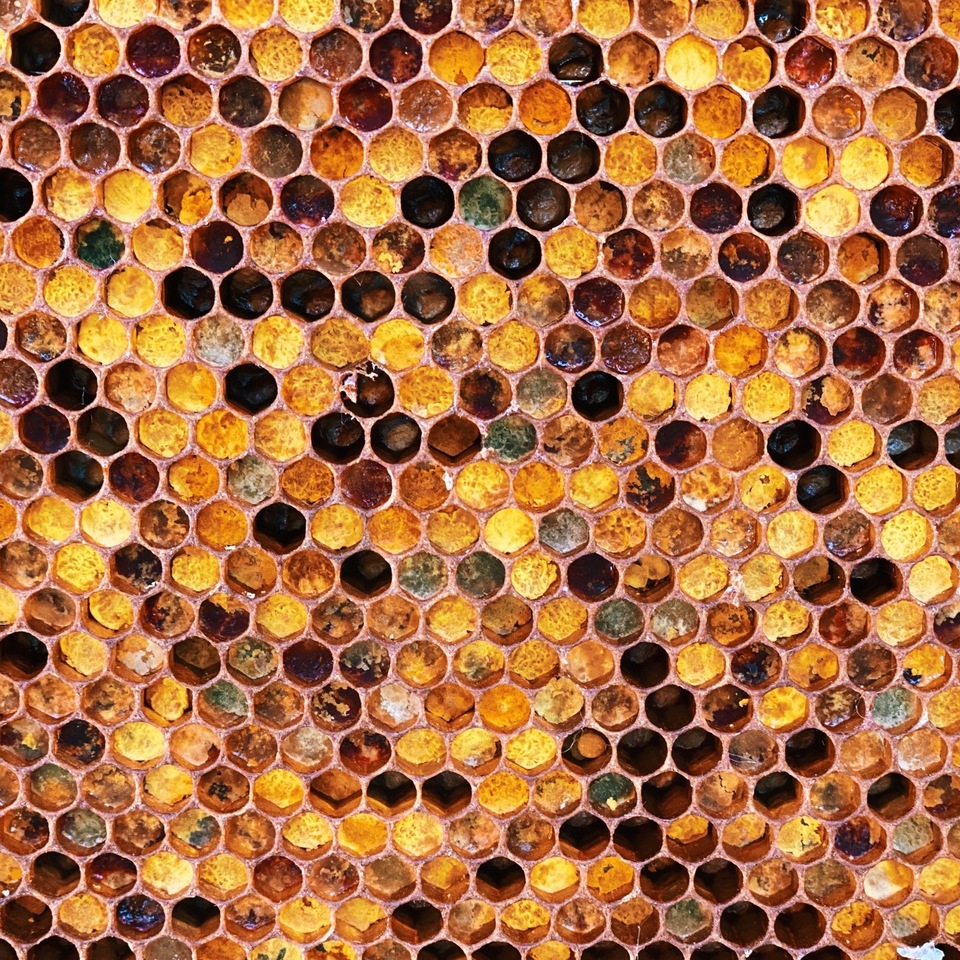 Velvet Bee 2018 Theresa Noelle Vineyard Sta. Rita Hills Pinot Noir