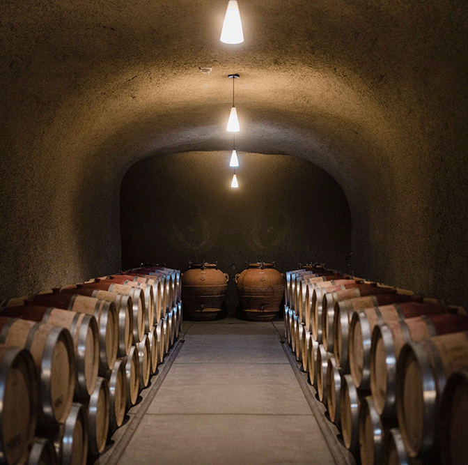 Quintessa 2021 Rutherford Estate Red Magnum | Wine Spies