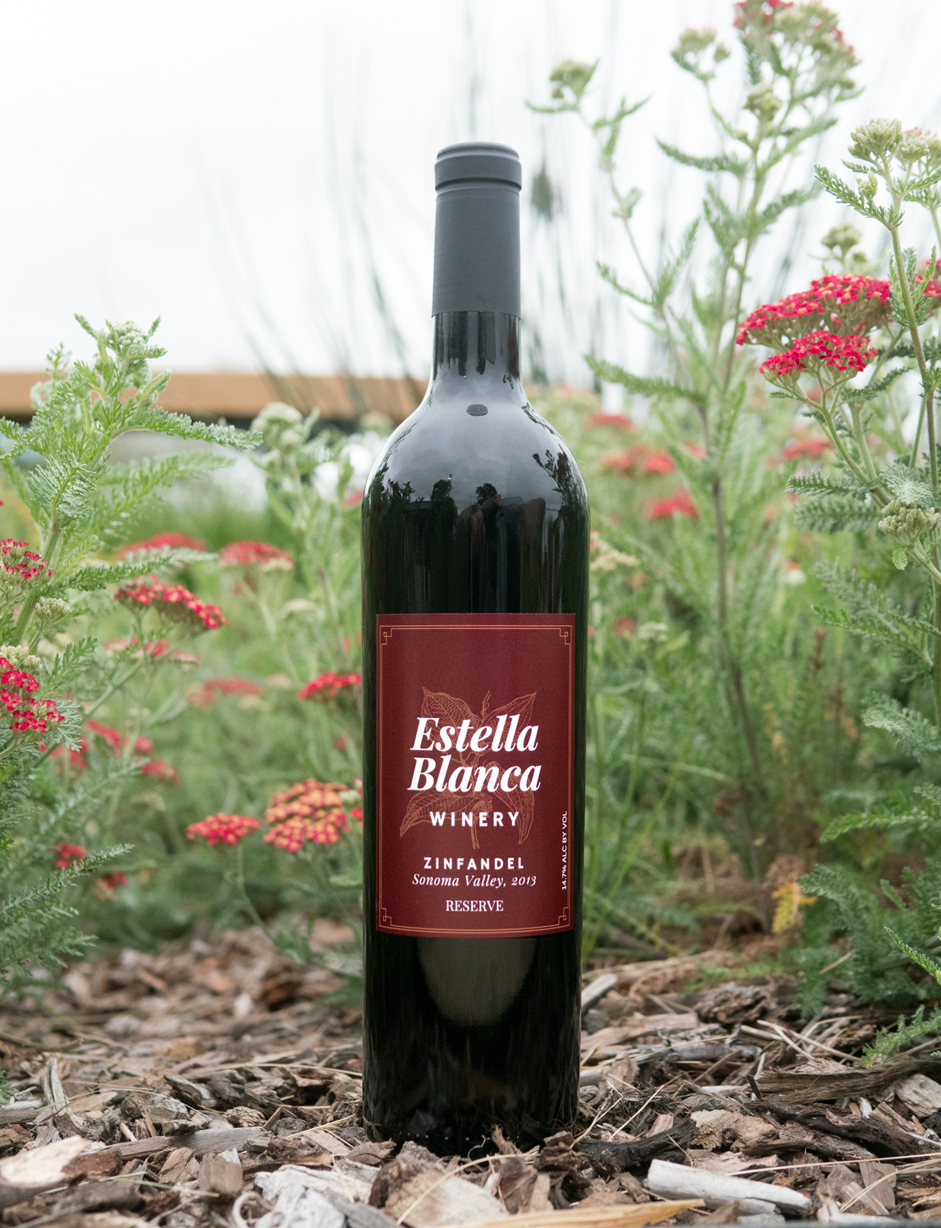 Estella Blanca 2013 Sonoma Valley Reserve Zinfandel Review