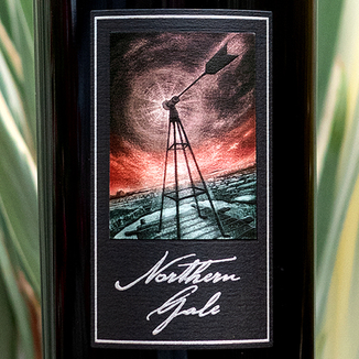 Stormy Weather 2015 'Northern Gale' Napa Valley Cabernet Sauvignon
