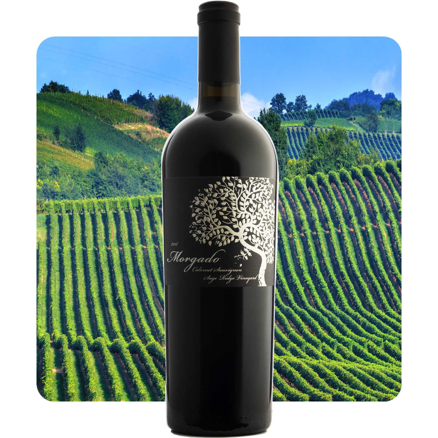 Morgado Cellars 2018 Sage Ridge Vineyard Cabernet Sauvignon