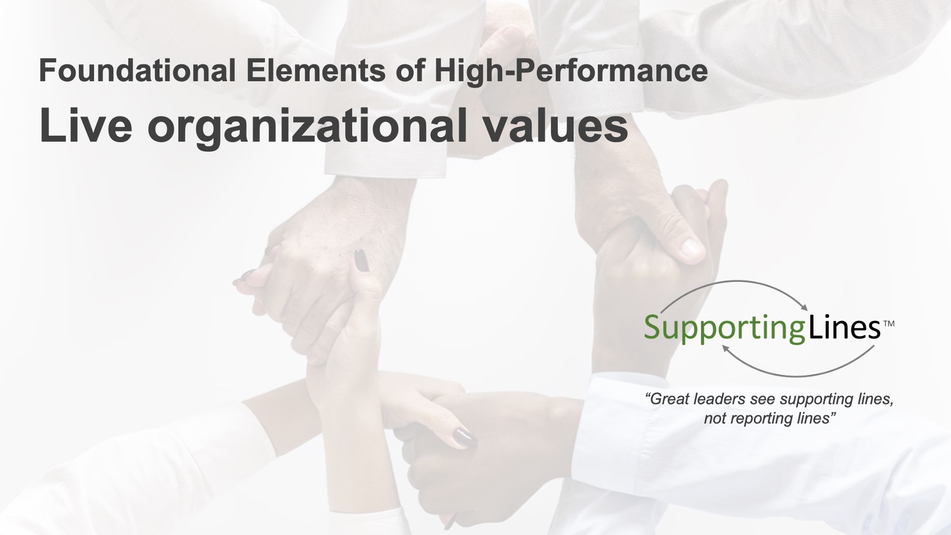 Live organizational values - SupportingLines Institute