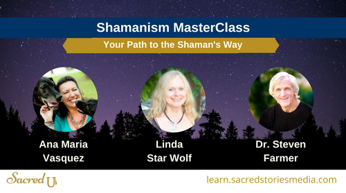 The Shaman's Way MASTERCLASS - ONLINE STUDY PROGRAM - Dr. Steven Farmer