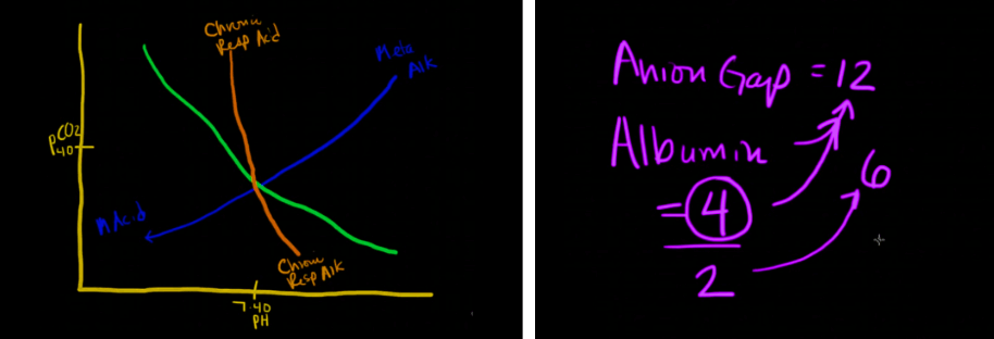 New Free MedCram Course on COVID-19 Now Available – TDS Health Blog