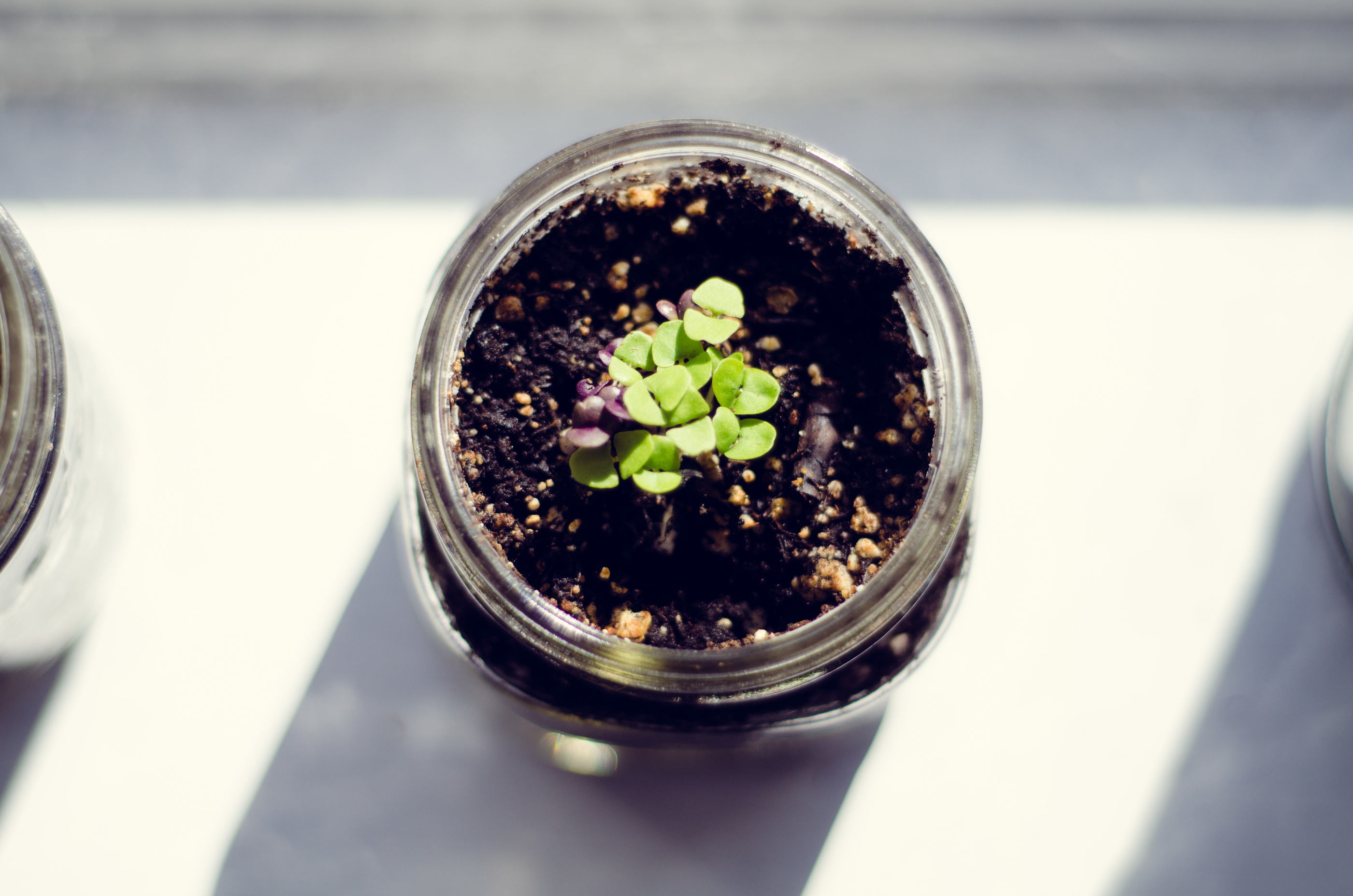 Good Soil - Today Daily Devotional