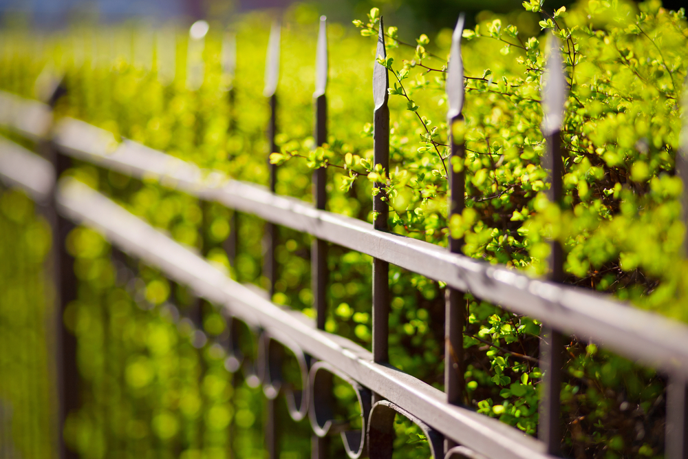 Boaz at the Gate - Today Daily Devotional