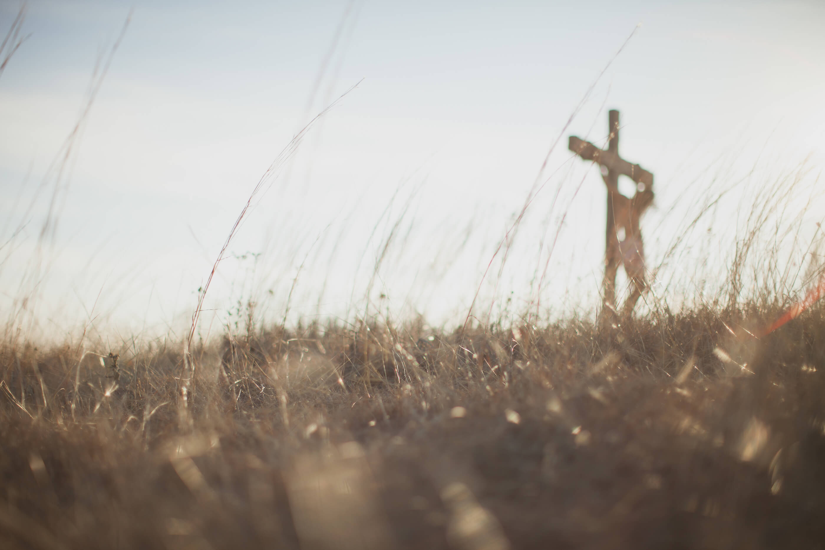 Gideon and Baal - Today Daily Devotional