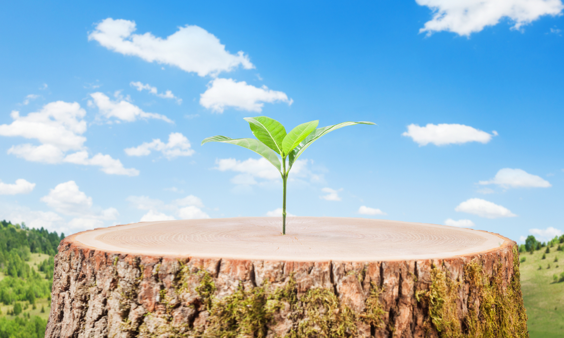 Faithful Witness - Today Daily Devotional