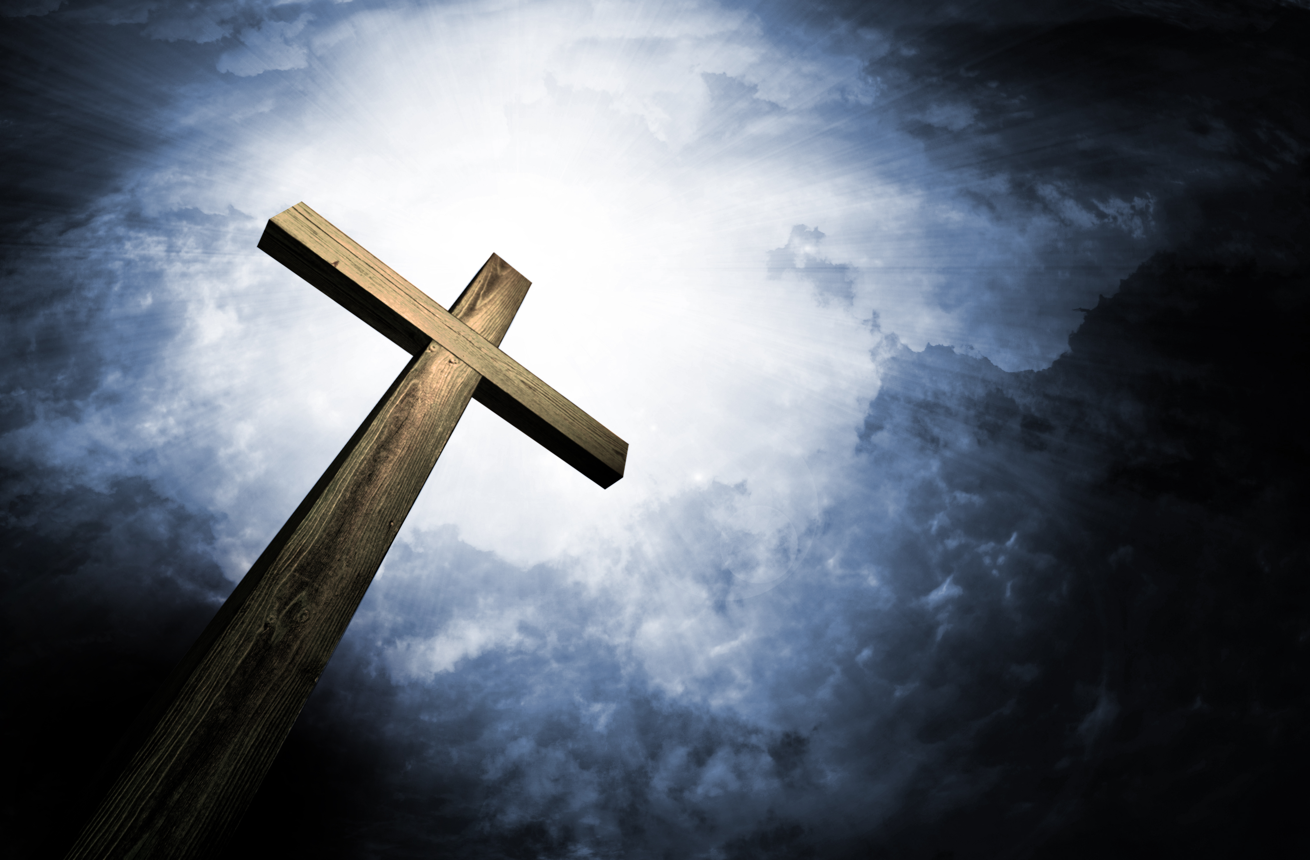 Near the Cross - Today Daily Devotional