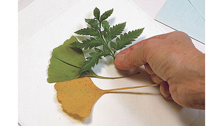 How to Leaf Print on Fabric - Threads