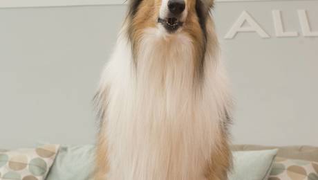 Project Runway All Stars Season 4, Episode 12: "Some Like It Hot Dog ...