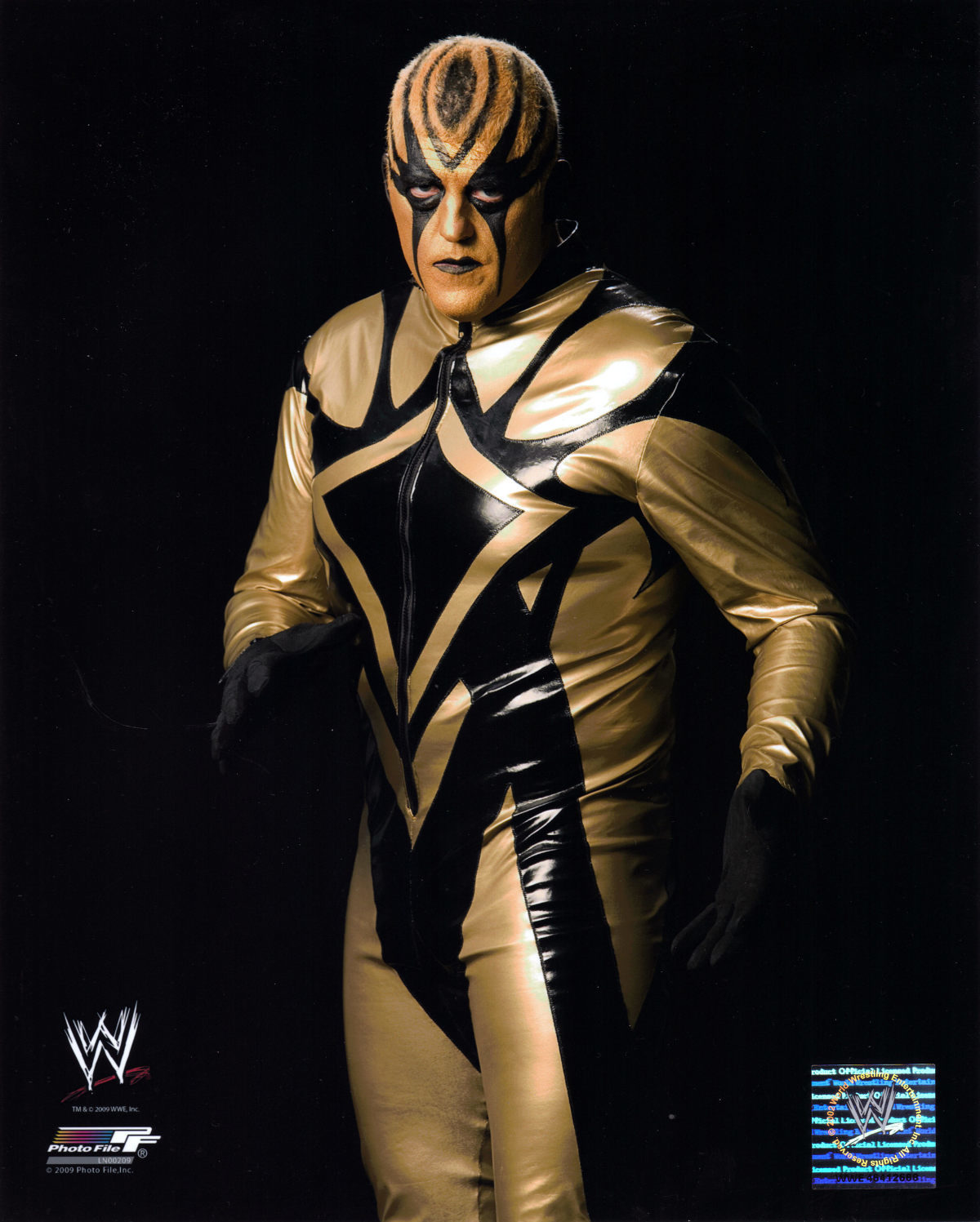 Goldust Costume