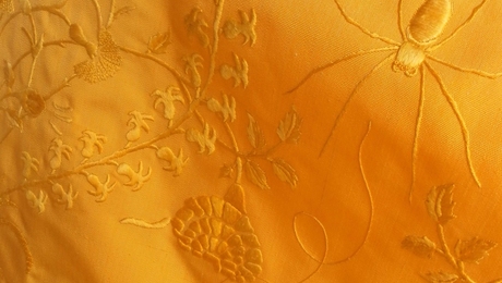 Video: Designers Create Golden Cloth from Spider Silk - Threads