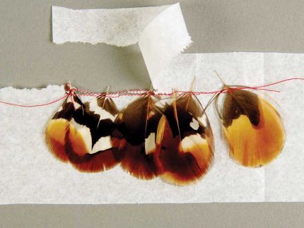 Sew a Custom Feather Fringe - Threads