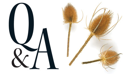 Q&A: Napped Fabrics vs. Pile Fabrics - Threads