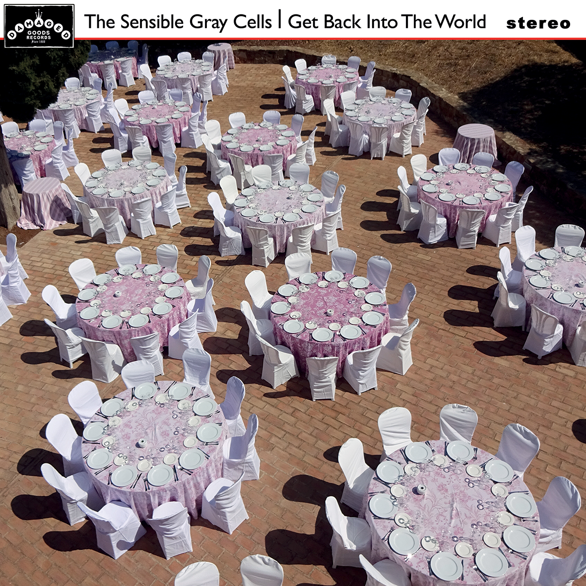 THE SENSIBLE GRAY CELLS – Get Back Into The World – Three D Radio