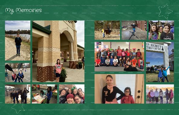 TreeRing | Create Personalized Yearbooks