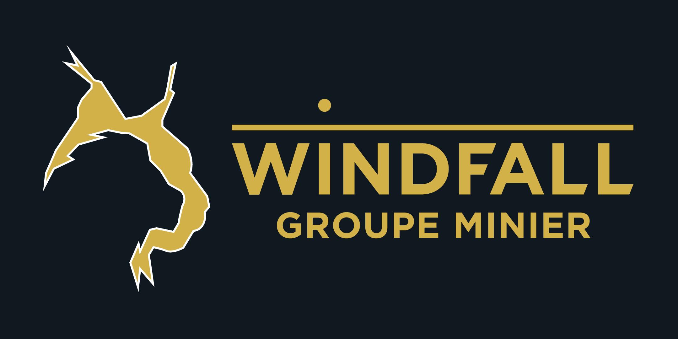Acheteur(euse) stratégique / Strategic Buyer at Groupe Minier Windfall