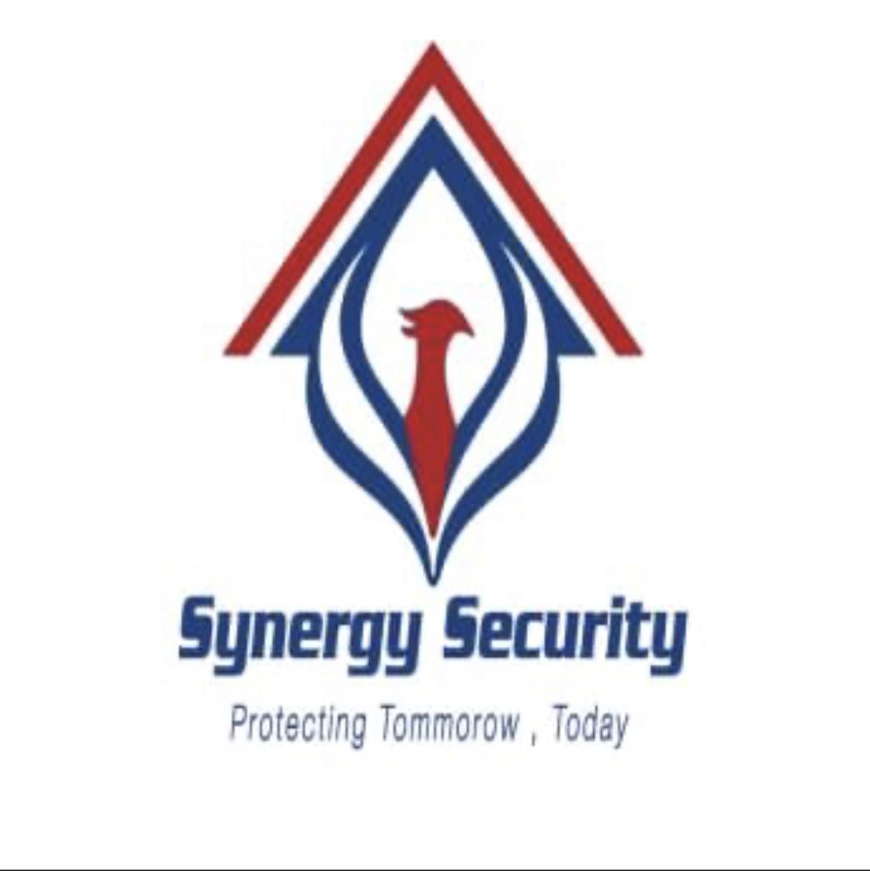 View jobs at Synergy Security and Electronics, LLC