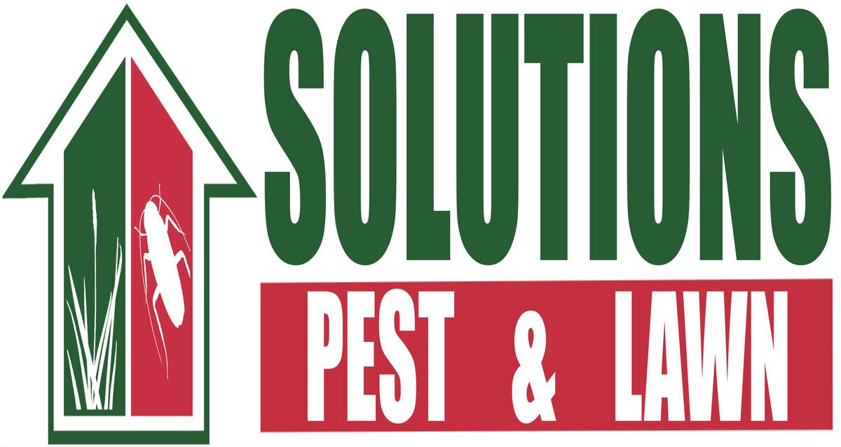 solutions pest control pasadena tx