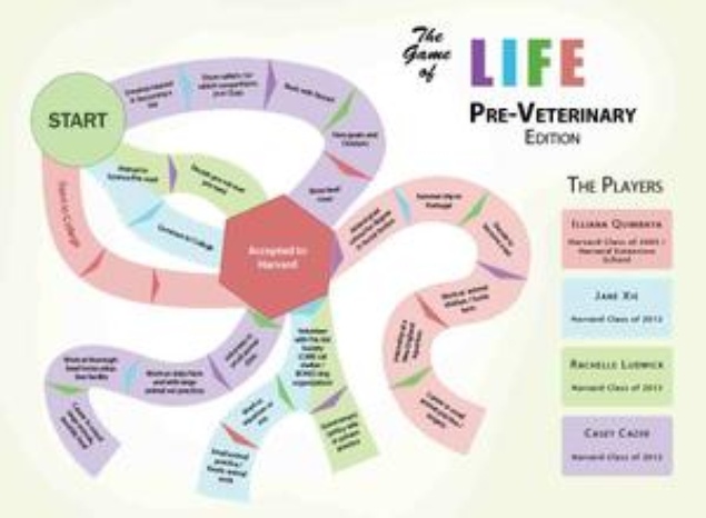 Pre-vets Chart Unique Career Path | News | The Harvard Crimson