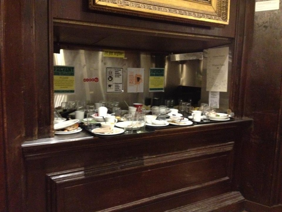 Cockroach in Adams Dish Return | The Harvard Crimson