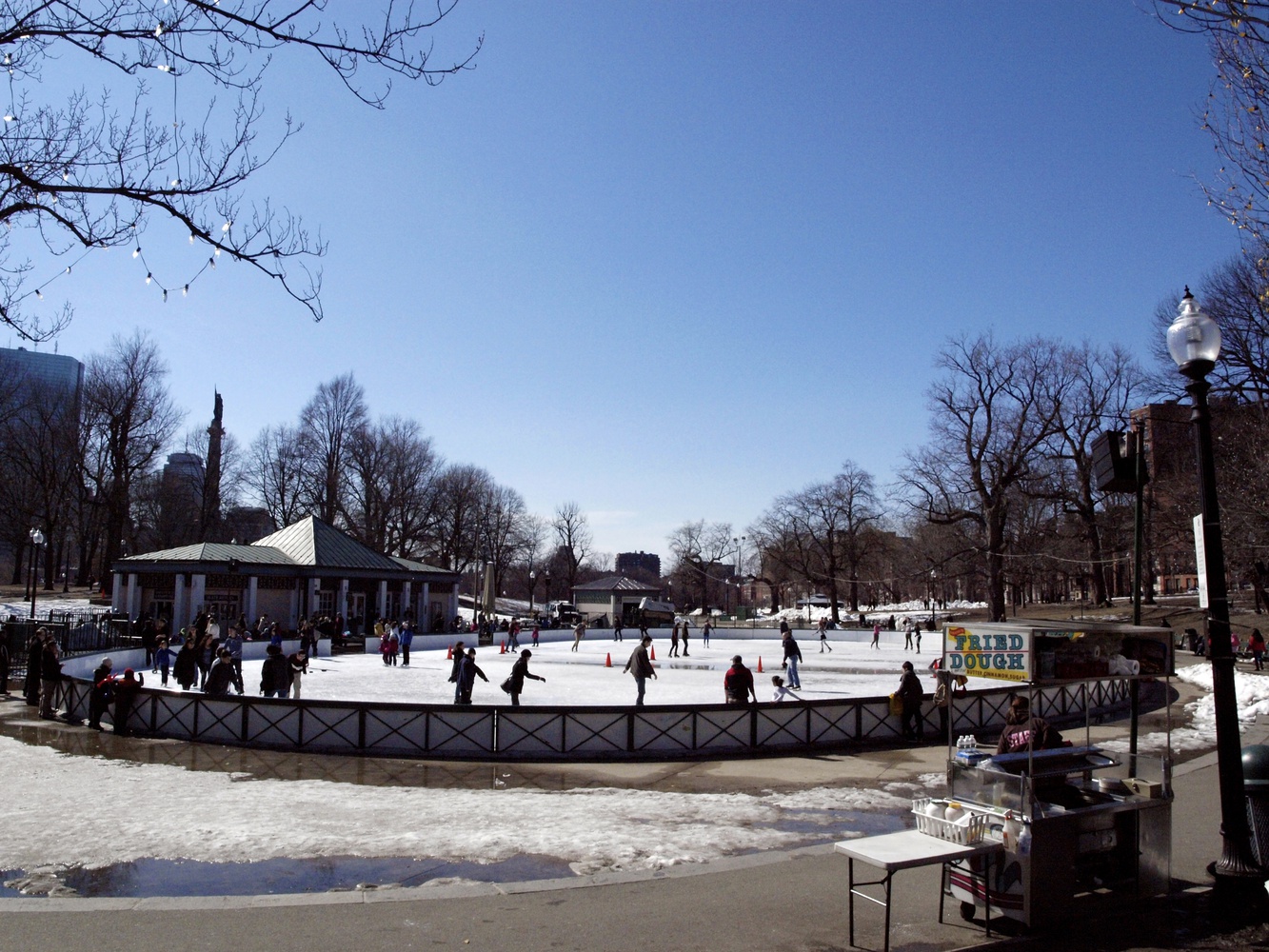 Skate at Frog Pond | Magazine | The Harvard Crimson