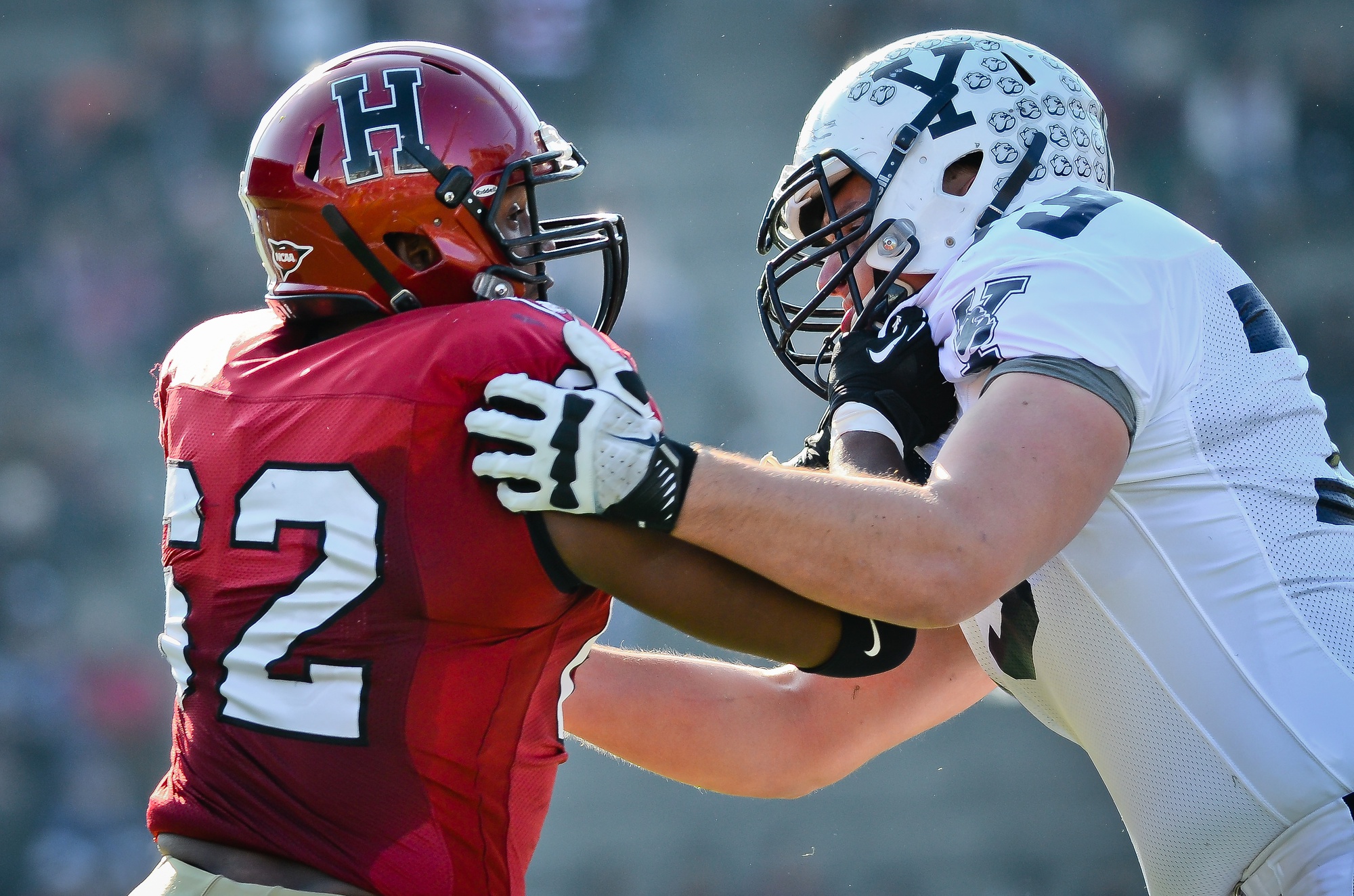 Freshman Survey Part V: A Look at New Haven | News | The Harvard Crimson