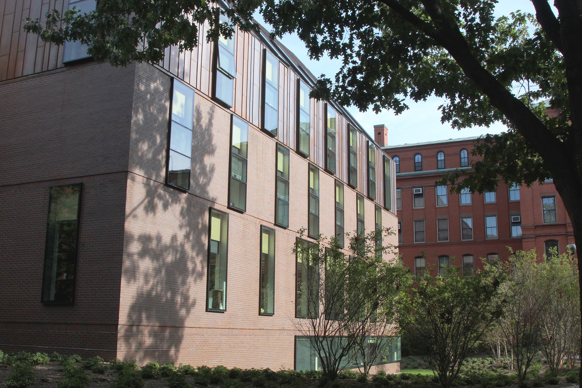 Anthropology Library Reopens | News | The Harvard Crimson