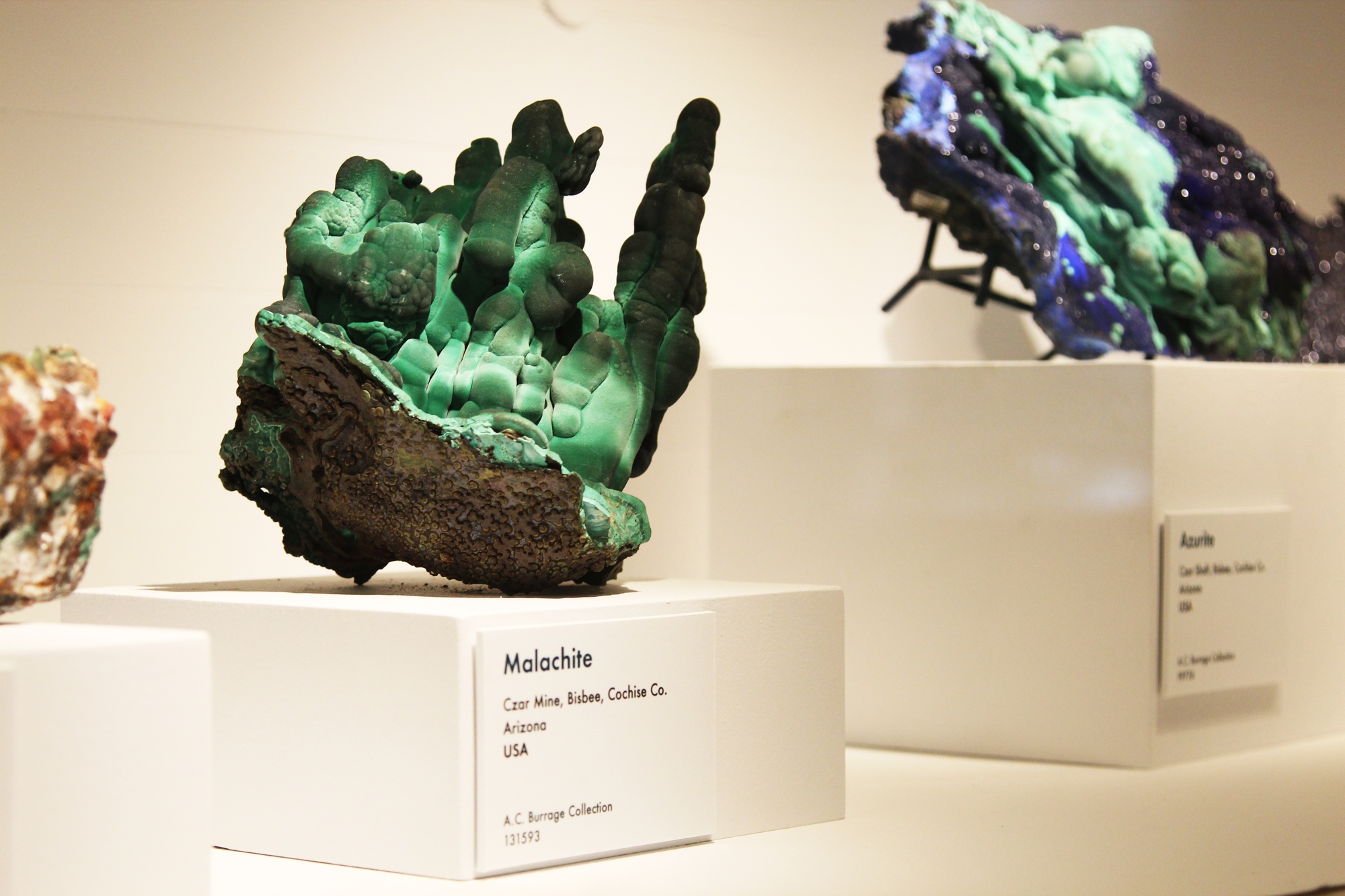 Natural History Museum Celebrates Earth Science Week | News | The ...