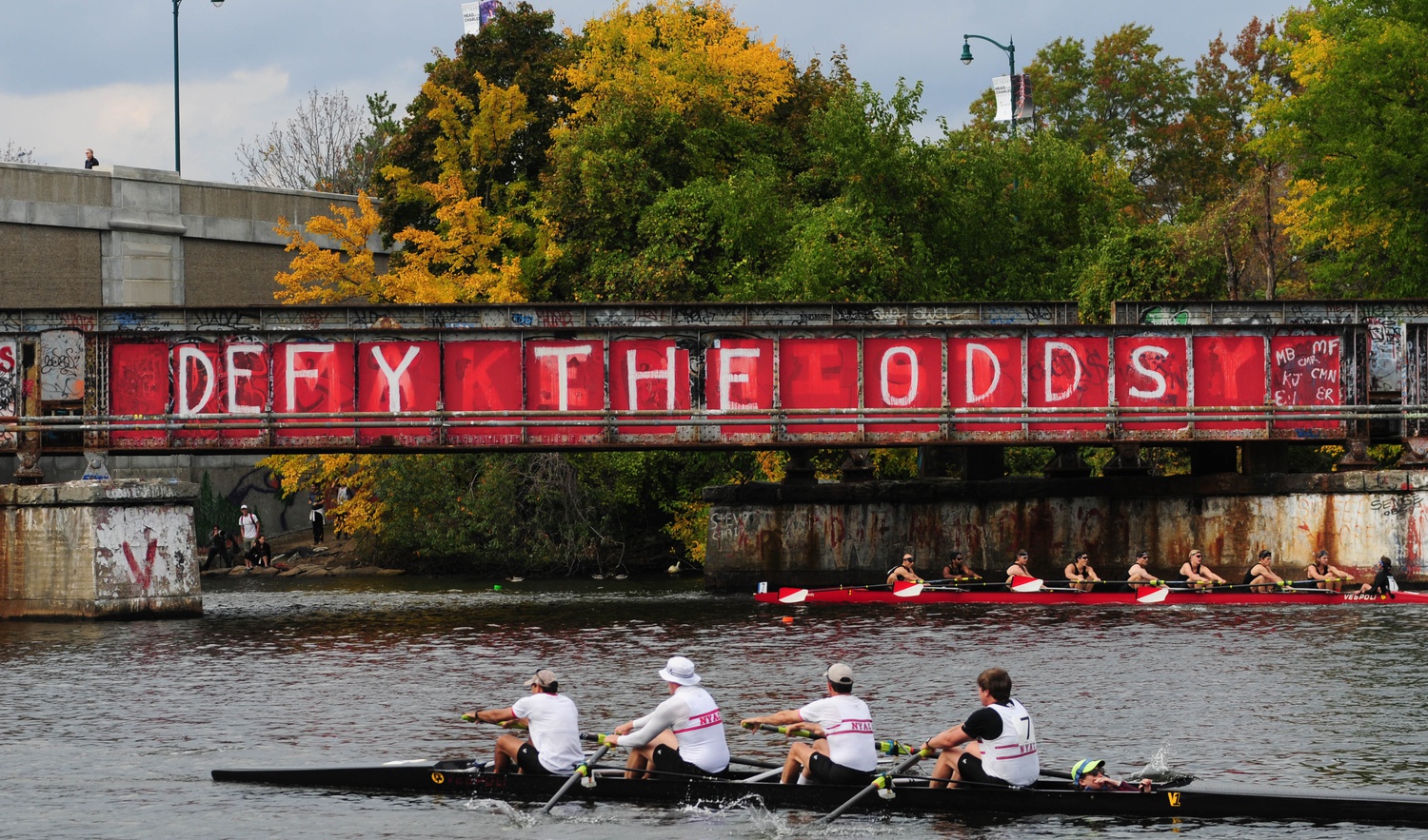 DEFY THE ODDS | Multimedia | The Harvard Crimson